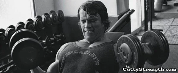 Get Swole: 3 Day Bodybuilding Workout Routine